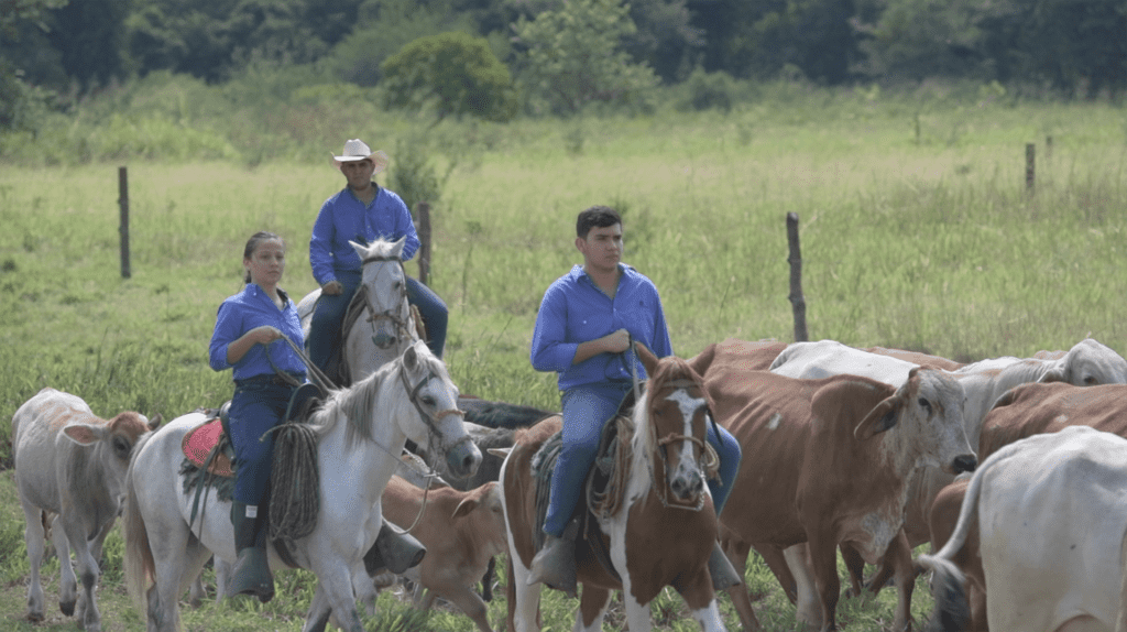 Acerca de – Universidad Zamorano